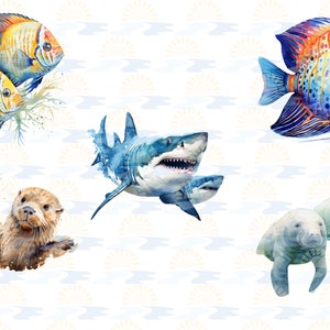 Watercolor Tropical Ocean Sea Life Fish Shark Clipart Bundle of 20 ...