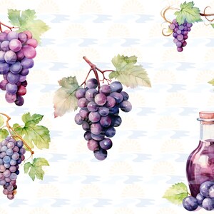 Watercolor Grape Fruit Wine Juice Branch Clipart Bundle of 20 ...