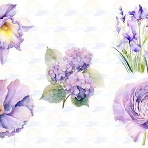 Watercolor Colorful Purple Lavender Flowers Floral Clipart Bundle of 20 ...