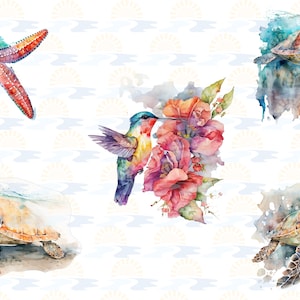 Watercolor Tropical Summer Animals Turtles Birds Clipart Bundle of 20 ...