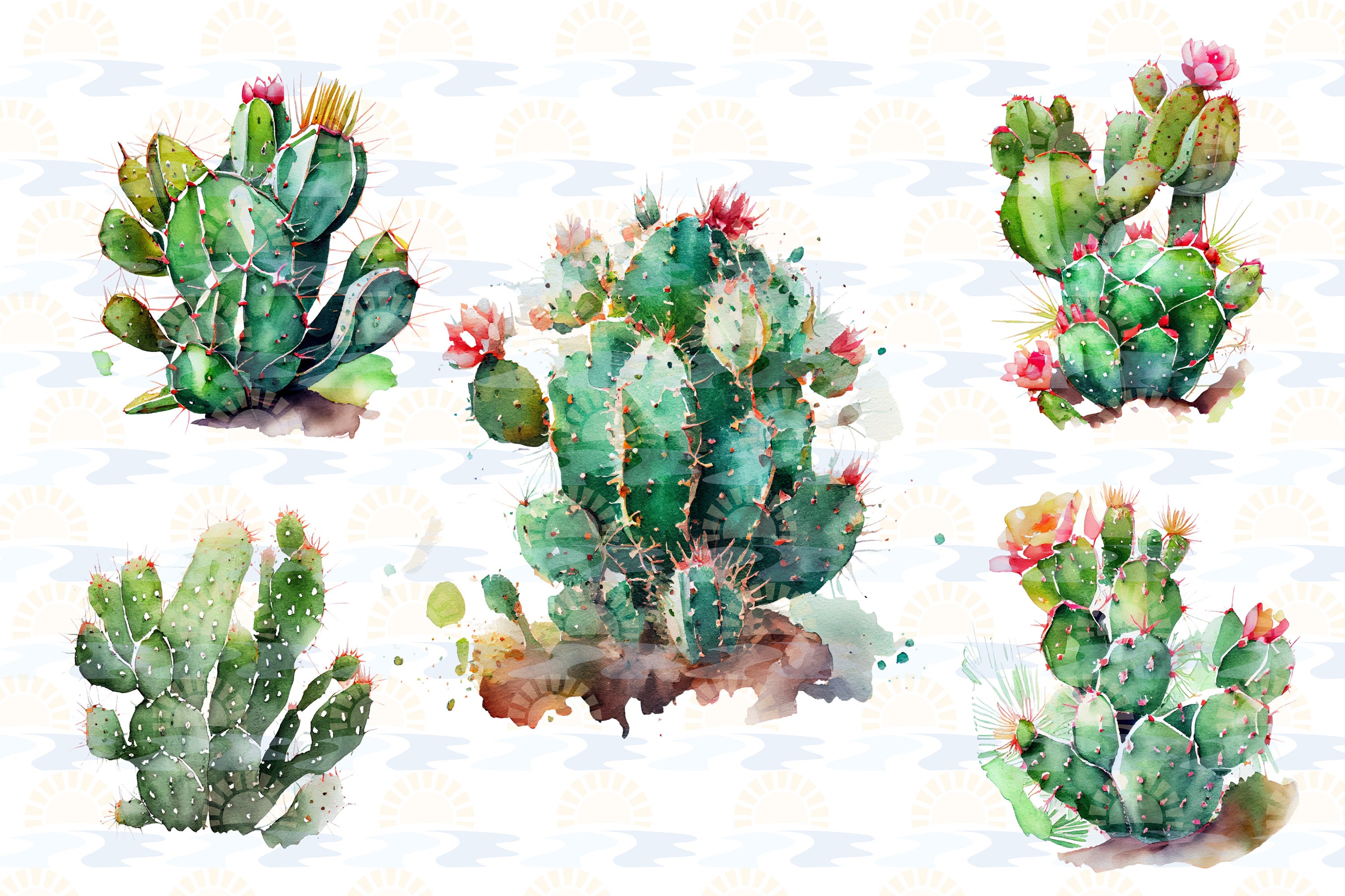 Watercolor Cactus Clipart Bundle of 20 - Transparent Background ...