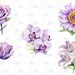 Watercolor Colorful Purple Lavender Flowers Floral Clipart Bundle of 20 ...