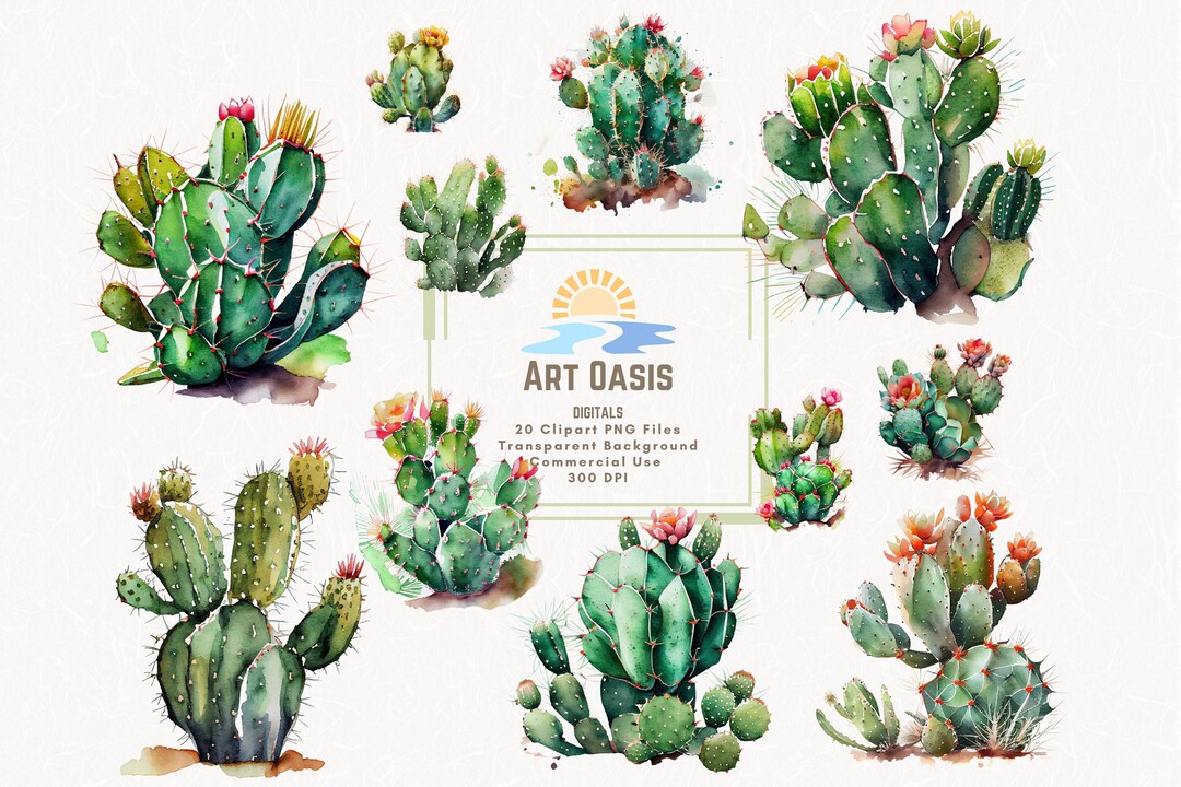 Watercolor Cactus Clipart Bundle of 20 - Transparent Background ...