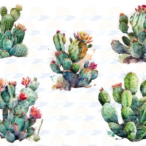 Watercolor Cactus Clipart Bundle of 20 - Transparent Background ...