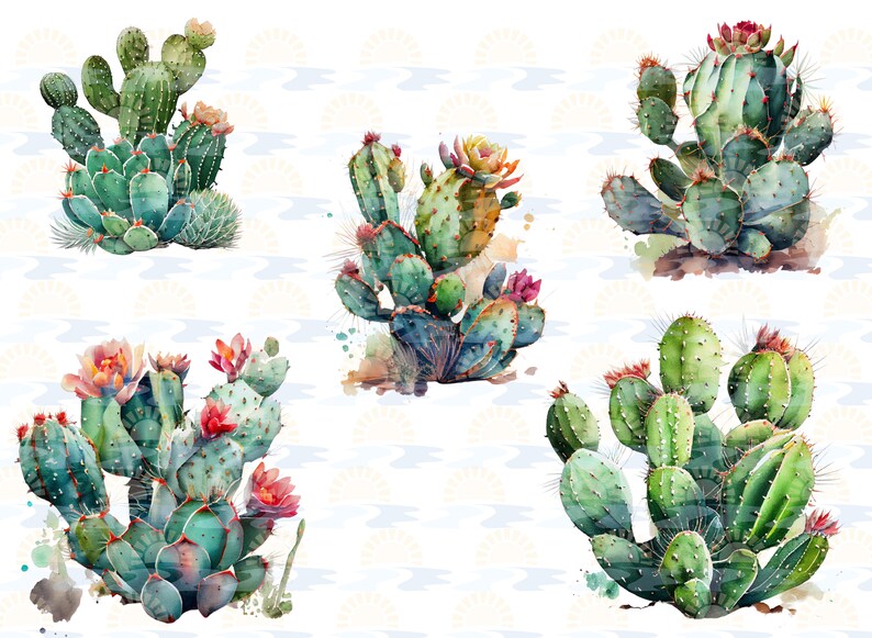 Watercolor Cactus Clipart Bundle of 20 Transparent - Etsy