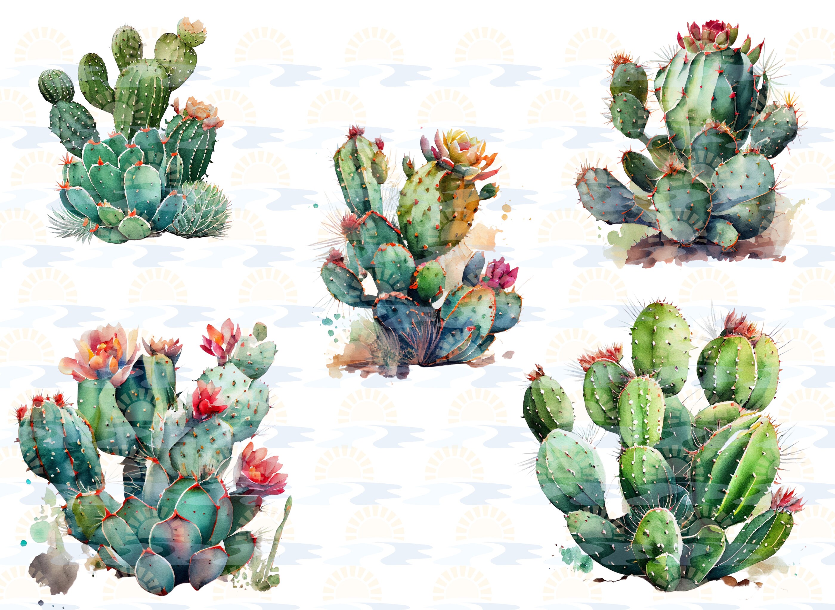 Watercolor Cactus Clipart Bundle of 20 Transparent - Etsy