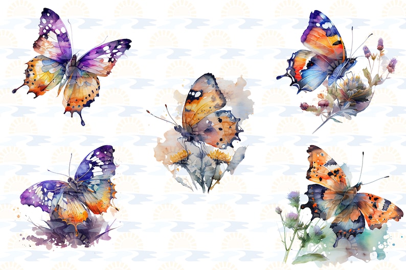 Watercolor Butterfly Floral Botanical Clipart Bundle of 20 - Etsy