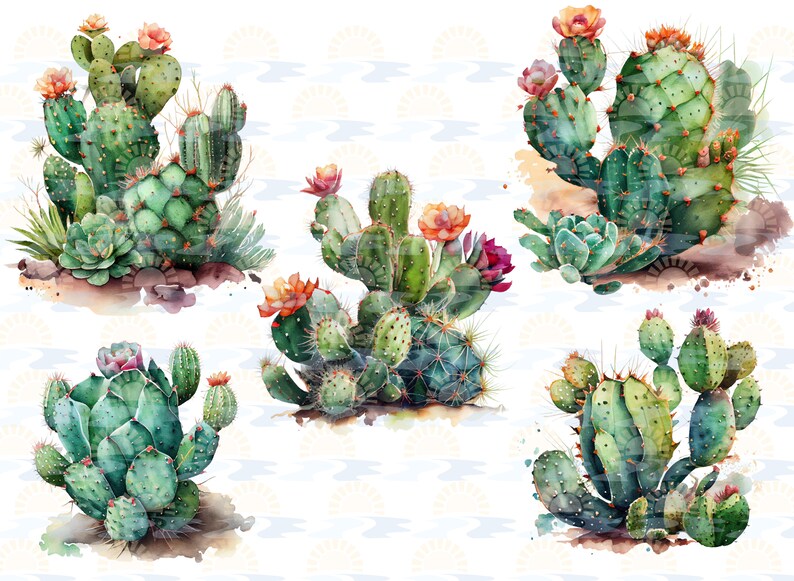 Watercolor Cactus Clipart Bundle of 20 Transparent - Etsy