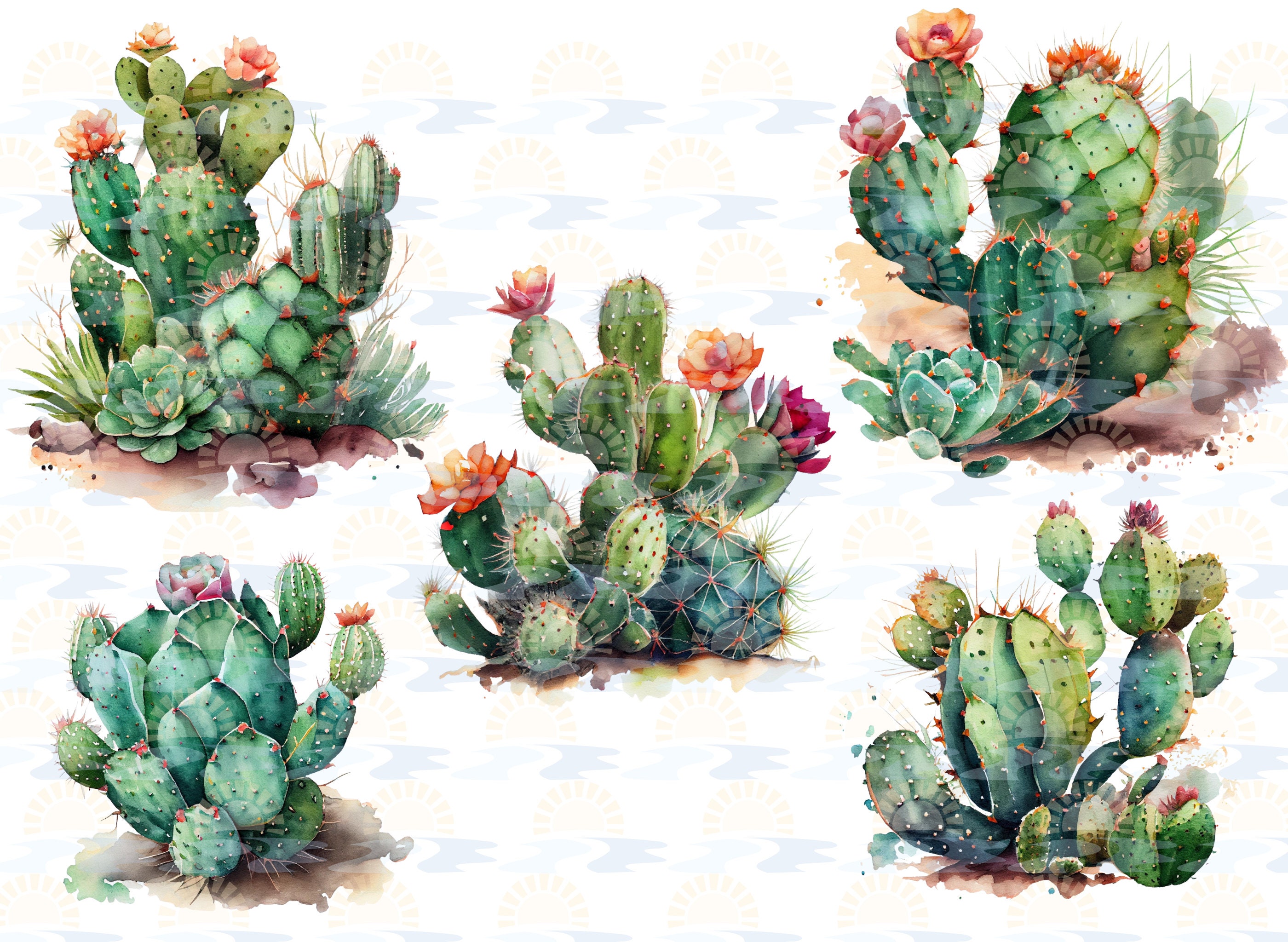 Watercolor Cactus Clipart Bundle of 20 Transparent - Etsy