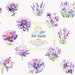 Watercolor Colorful Purple Lavender Flowers Floral Clipart Bundle of 20 ...