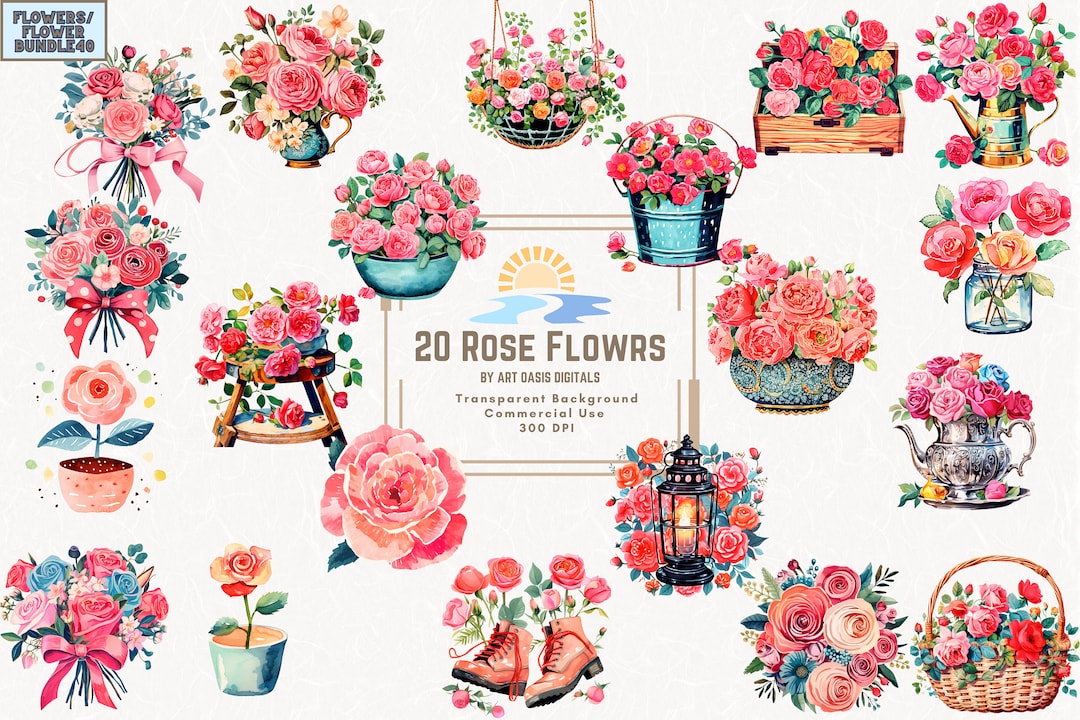 Rose Flower Clipart Bundle: Watercolor PNG, June Birthmonth (digital ...