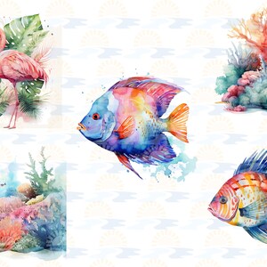 Watercolor Tropical Summer Animals Turtles Birds Clipart Bundle of 20 ...