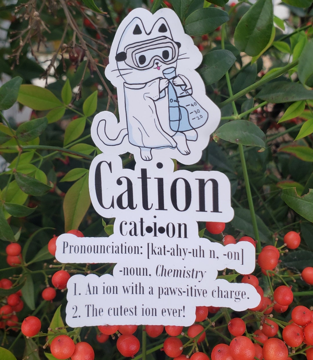 Funny Cation Chemistry Science Cat Pun Sticker for Chemistry Cat Lovers ...