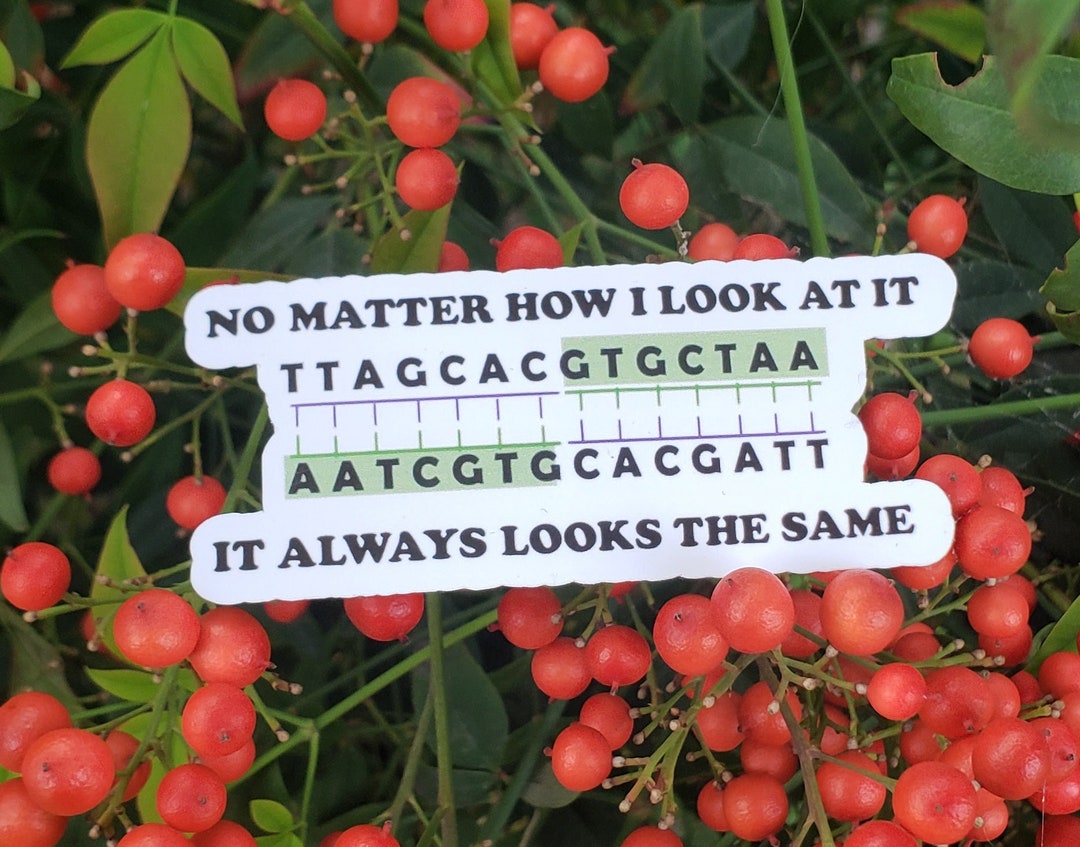 Palindrome Science Pun Biology DNA RNA Nucleotide Sticker Gift Genetics ...