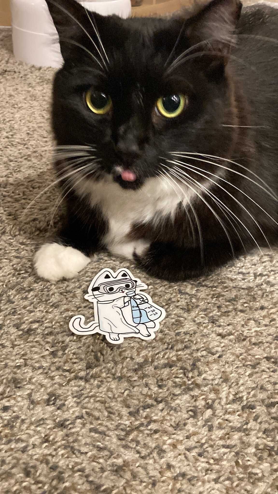 Chemistry Cat Memes Helium