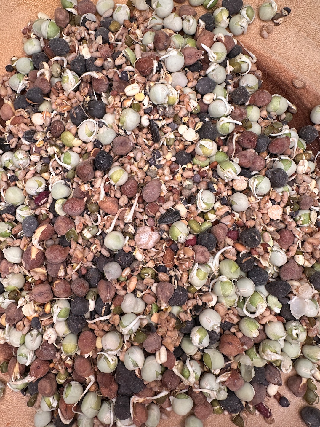 Organic Freeze Dried Sprouted Seed Mix for Birds/parrots (7 Oz) - Etsy