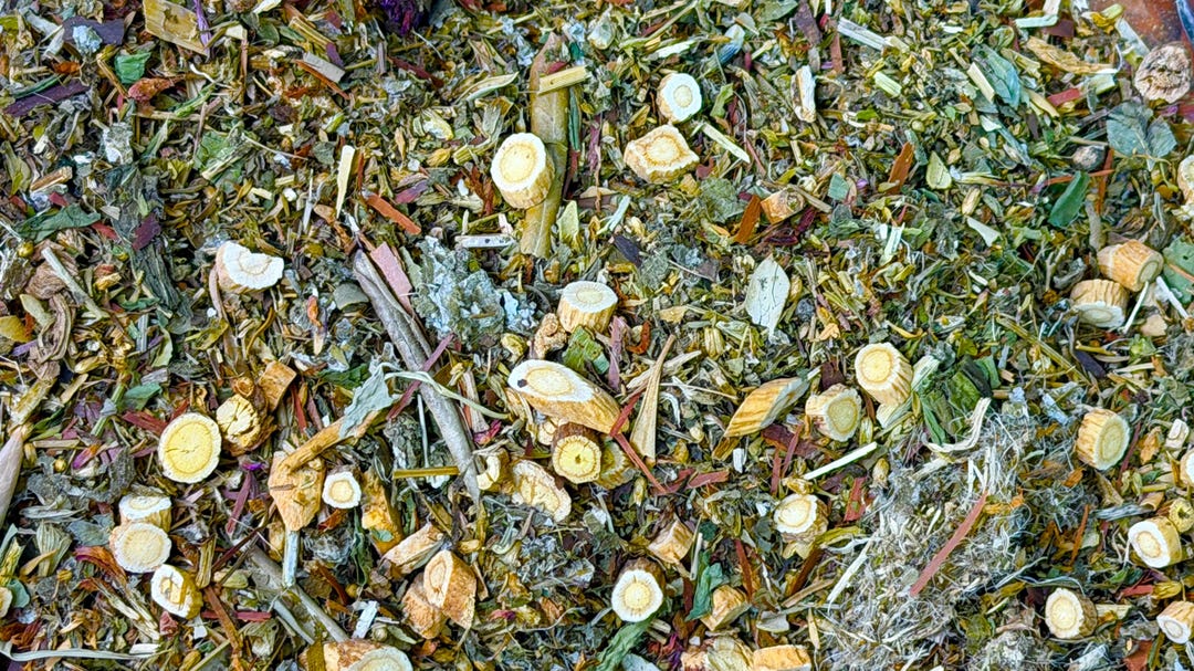 Organic Bird Herb Supplement: Parrot & Finch Blend - Etsy