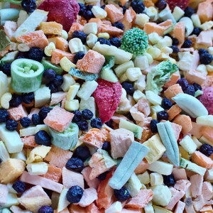 Organic Freeze Dried Fruit & Veggie Parrot Chop (4 Oz) - Etsy