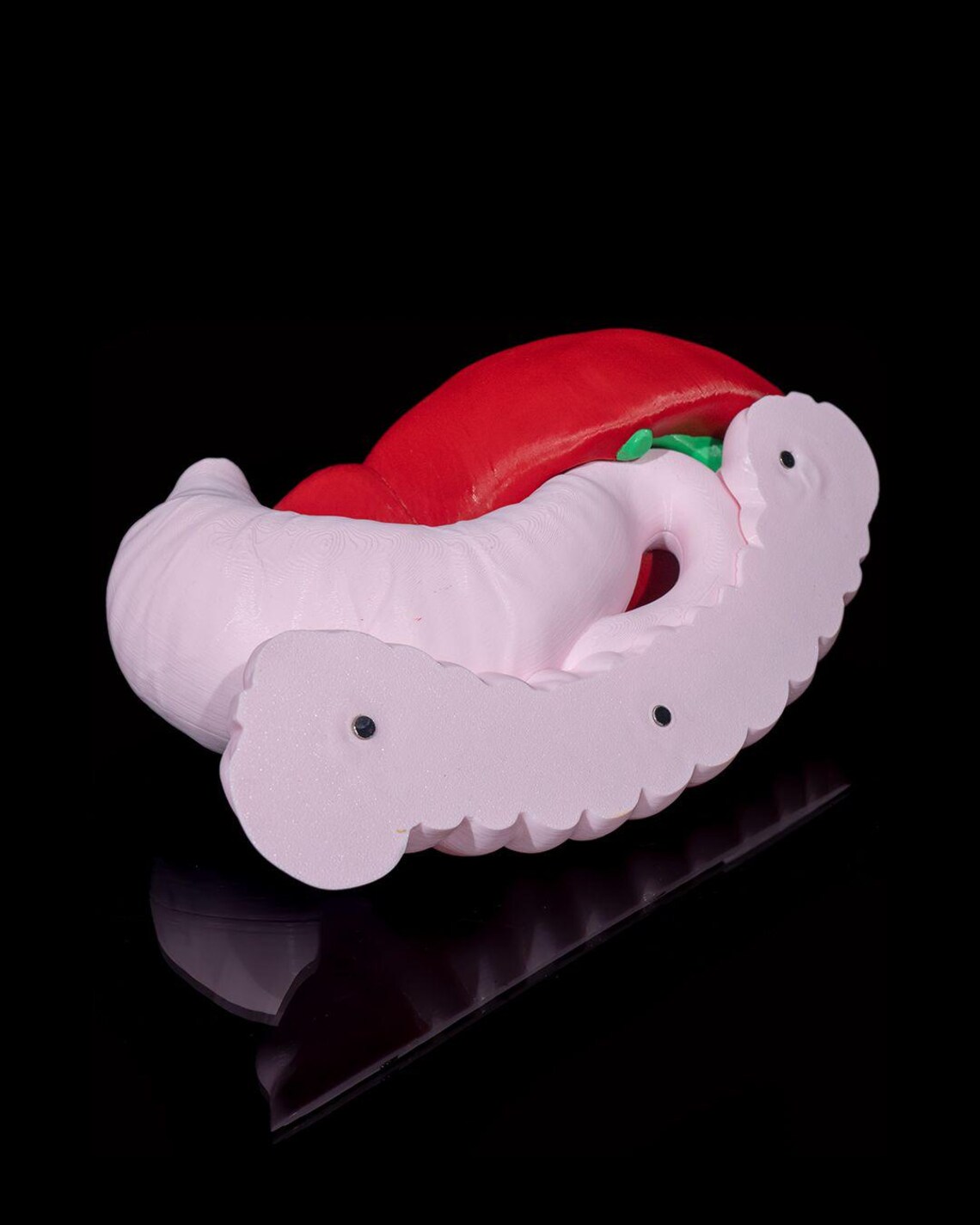 3D Printed Digestive System Model for Classrooms - Etsy