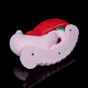 3D Printed Digestive System Model for Classrooms - Etsy