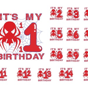 Spiderman Svg Birthday Boy Svg Family Boy Svg Happy - Etsy