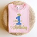 First Birthday Svg Png, 1st Birthday Svg, Birthday Svg, My First ...