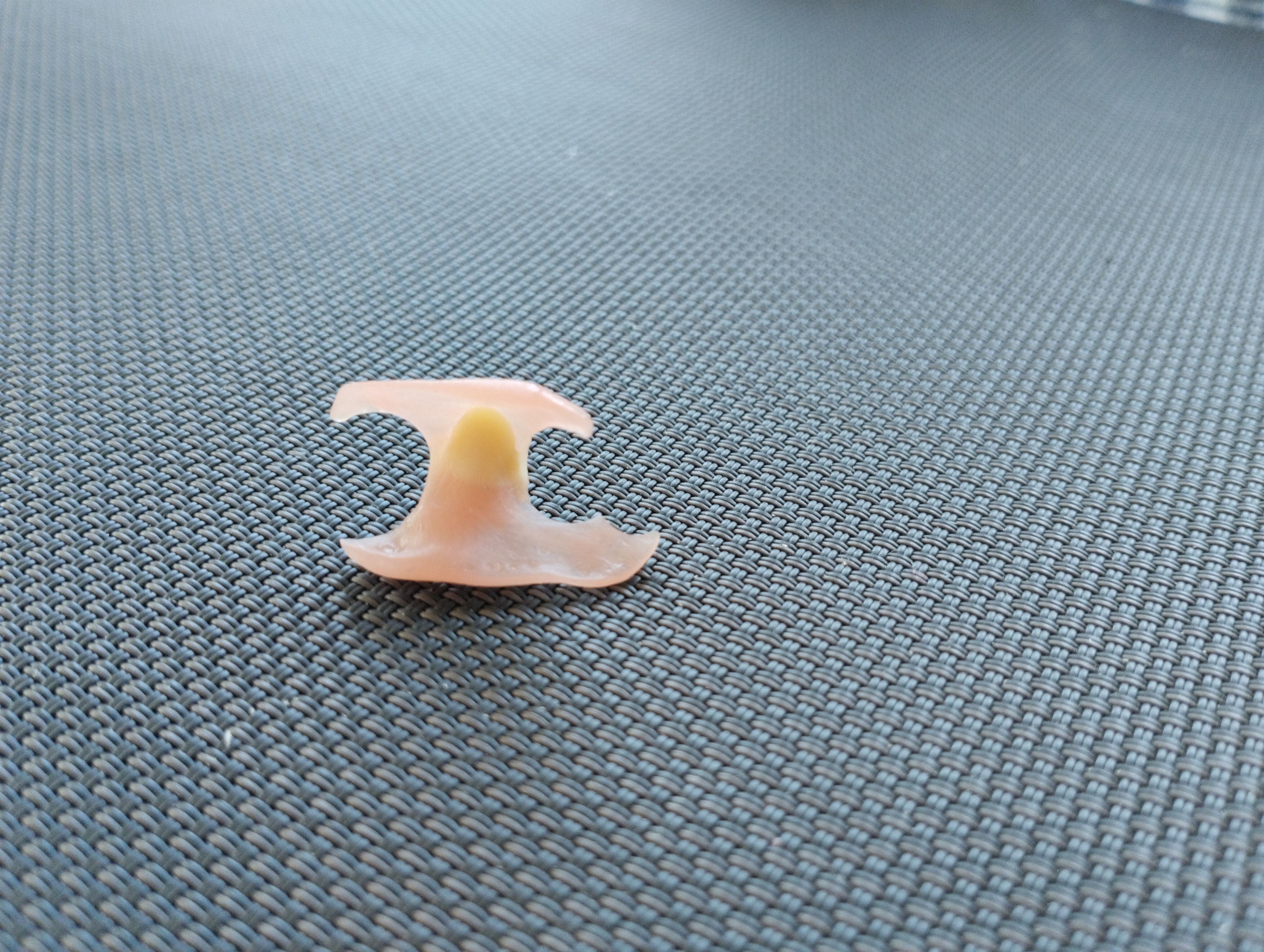 Denture Upper Flipper Free Prosthetic Box - Etsy