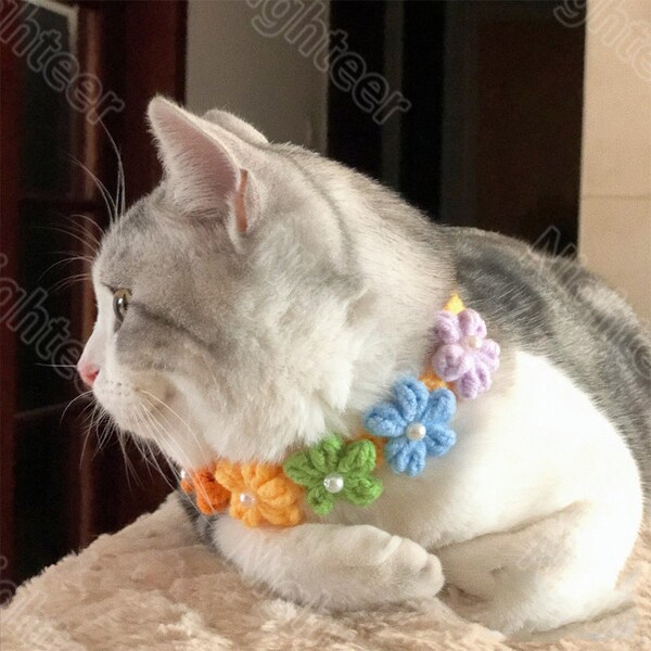 Female Cat Collar - Etsy