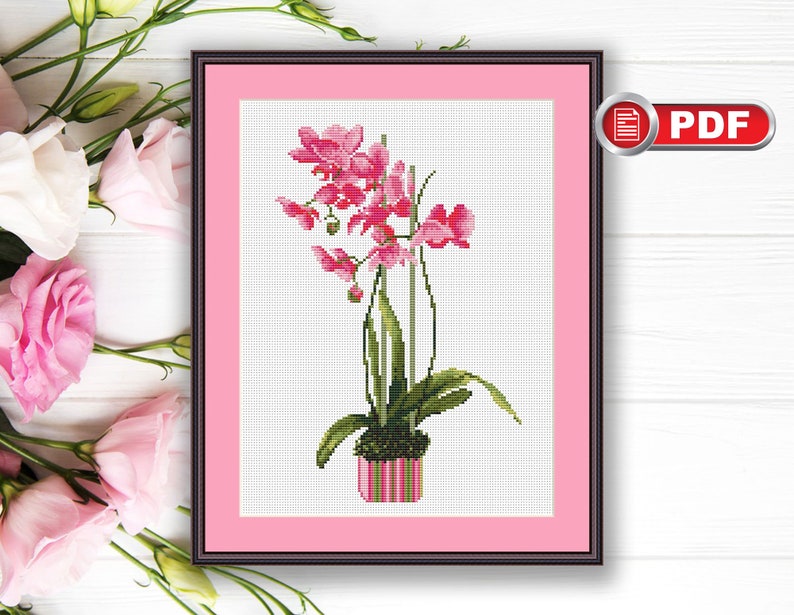 Set of 3 Orchids Cross Stitch Pattern Orchid Patterns - Etsy