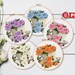 Blue Flowers in A Cup Cross Stitch, Flowers Cross Stitch Pattern ...