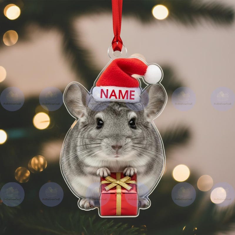 Chinchilla - Etsy