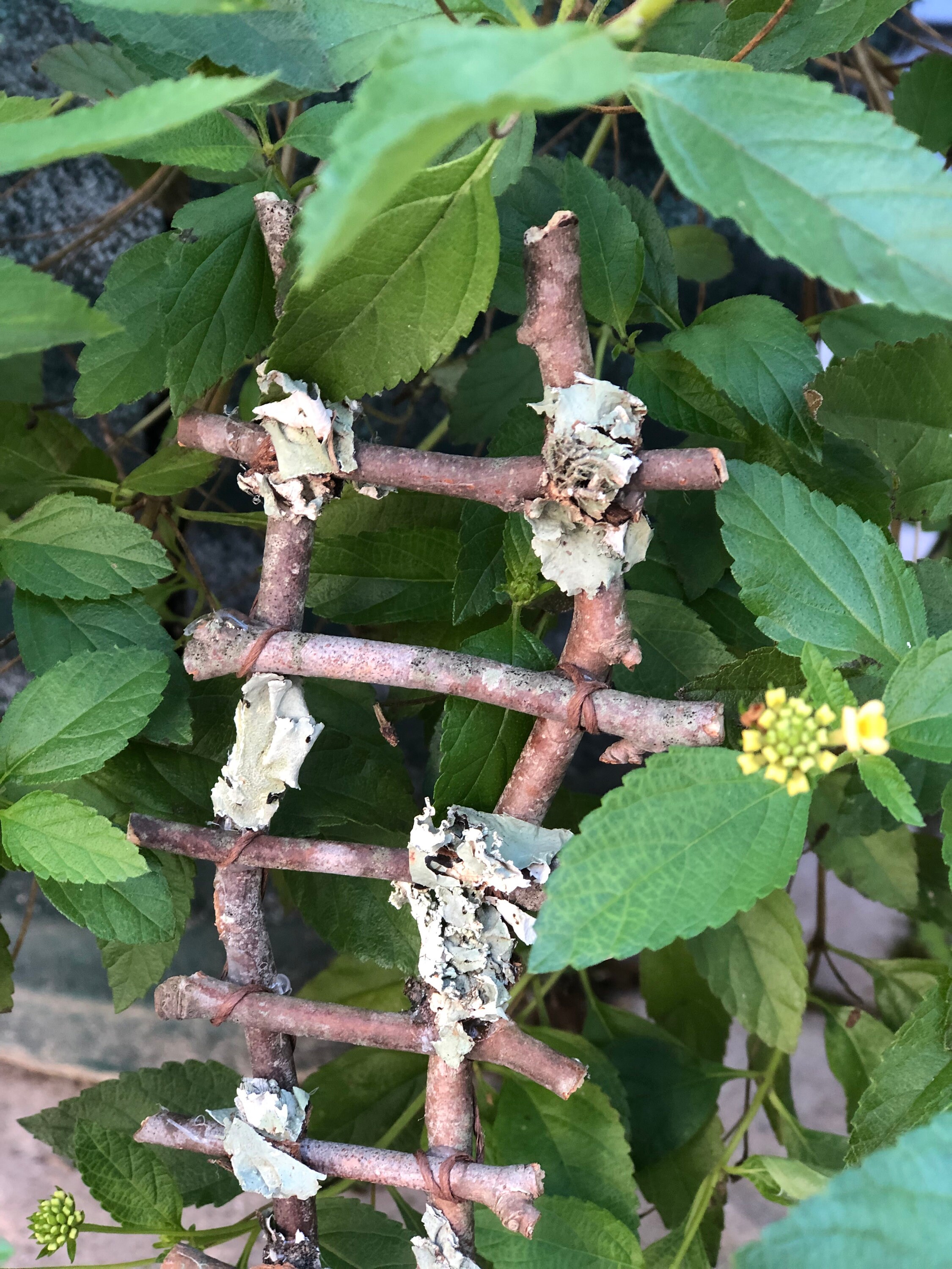 Miniature Huldufólk Ladder, Icelandic Folklore Elf Pixie Ladder - Etsy