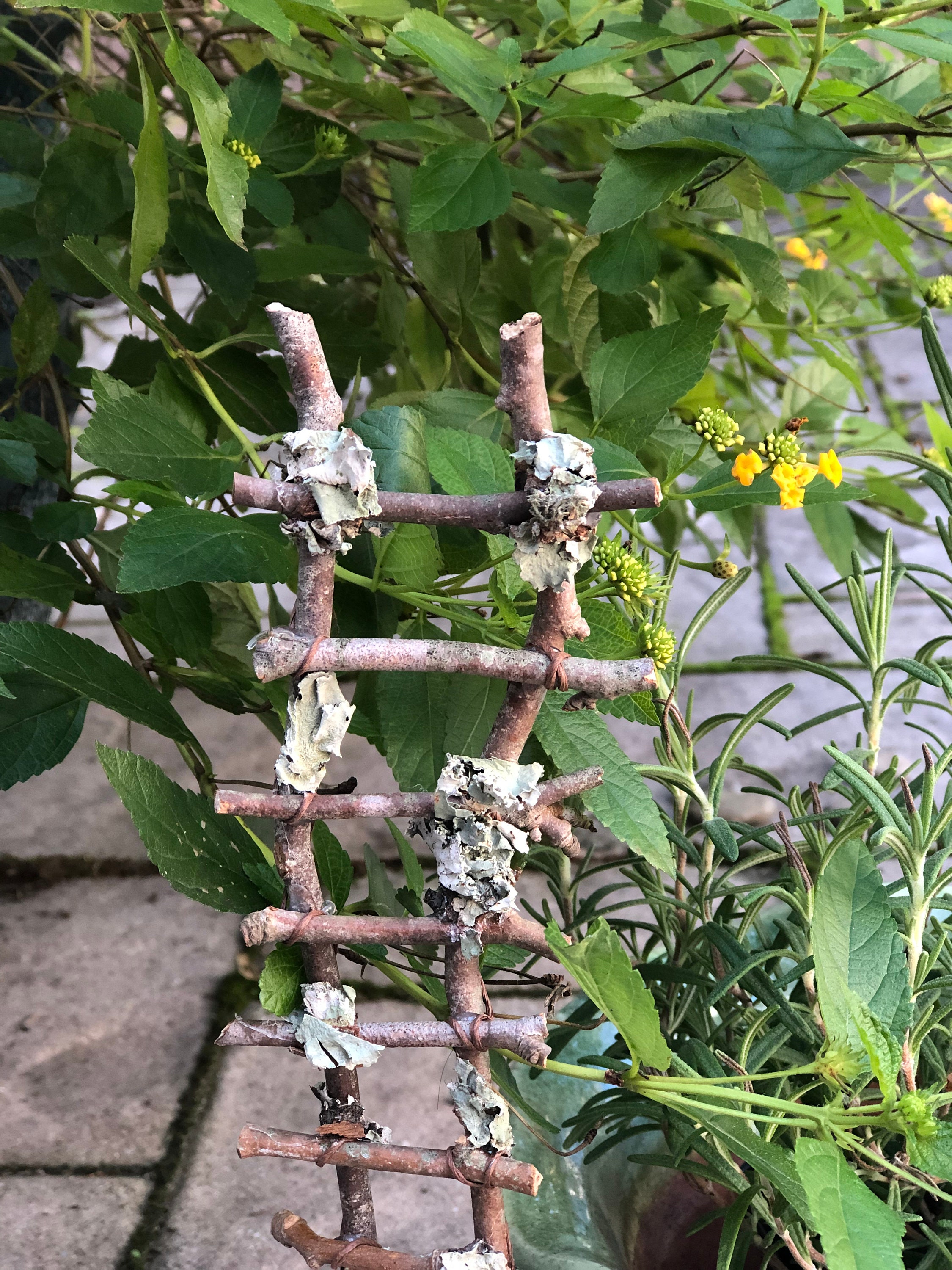 Miniature Huldufólk Ladder, Icelandic Folklore Elf Pixie Ladder - Etsy