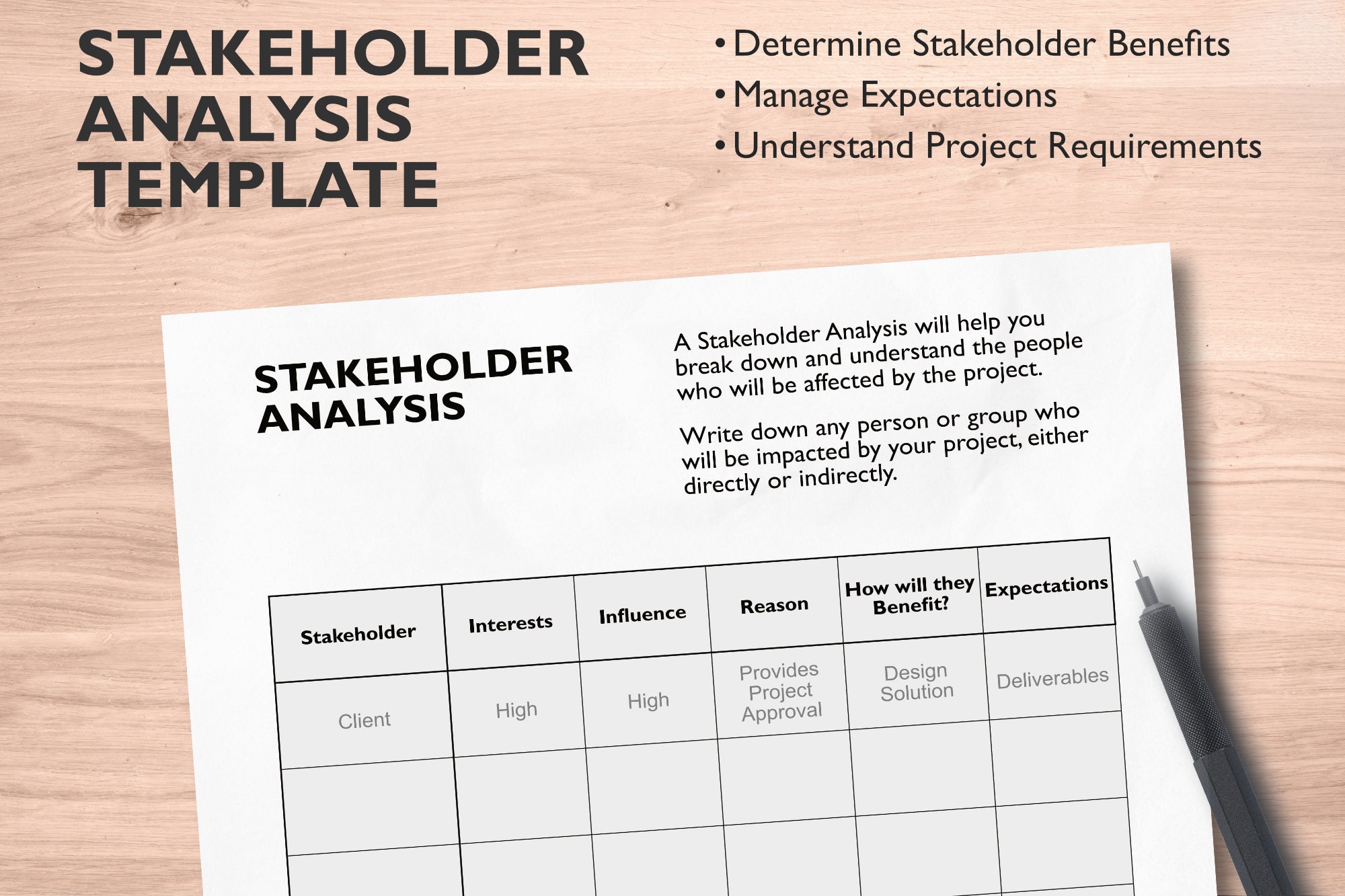 STAKEHOLDER ANALYSIS, Page Template, Easy Stakeholder Inquiry ...