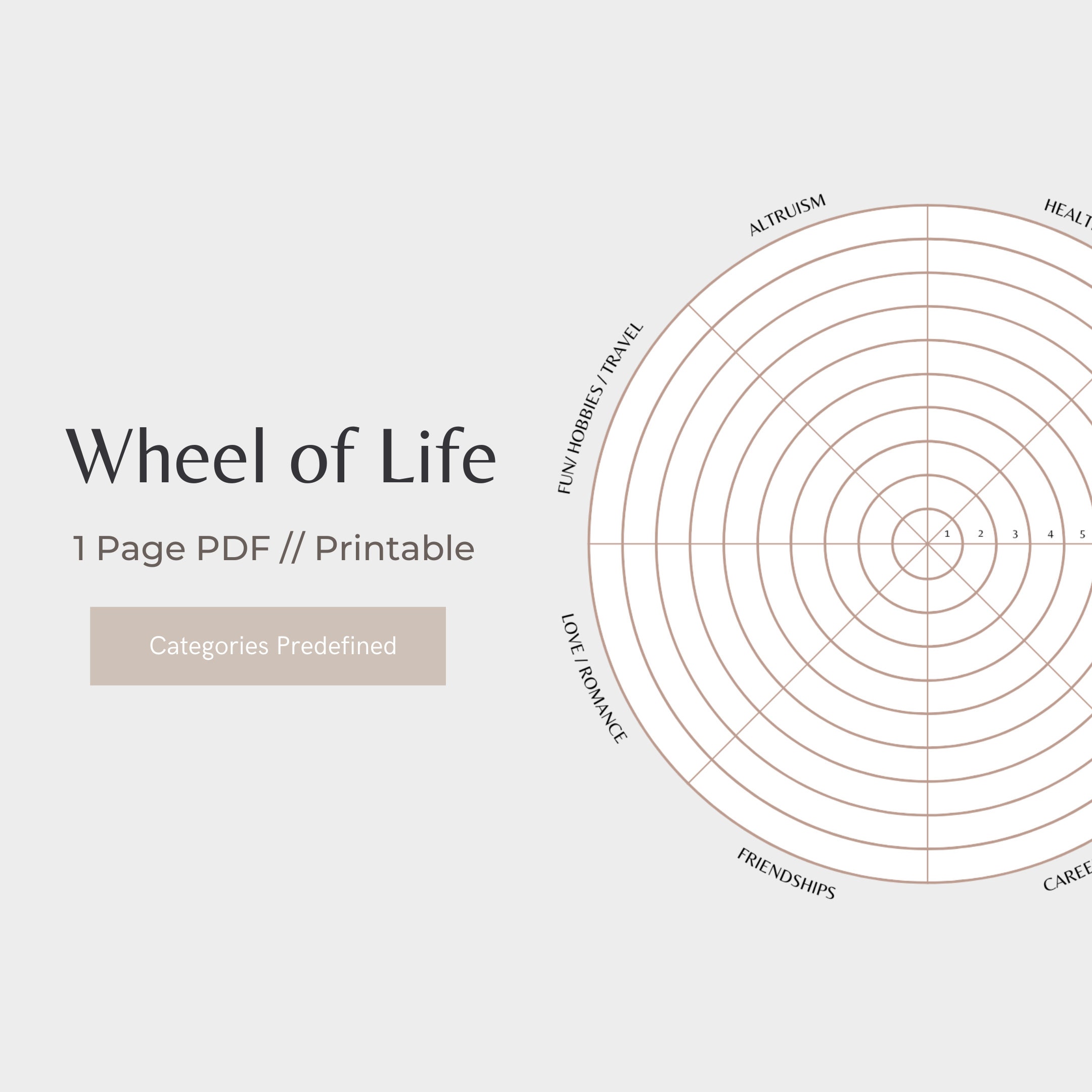 Wheel of Life Template Pdf Printable Light With Categories Digital ...