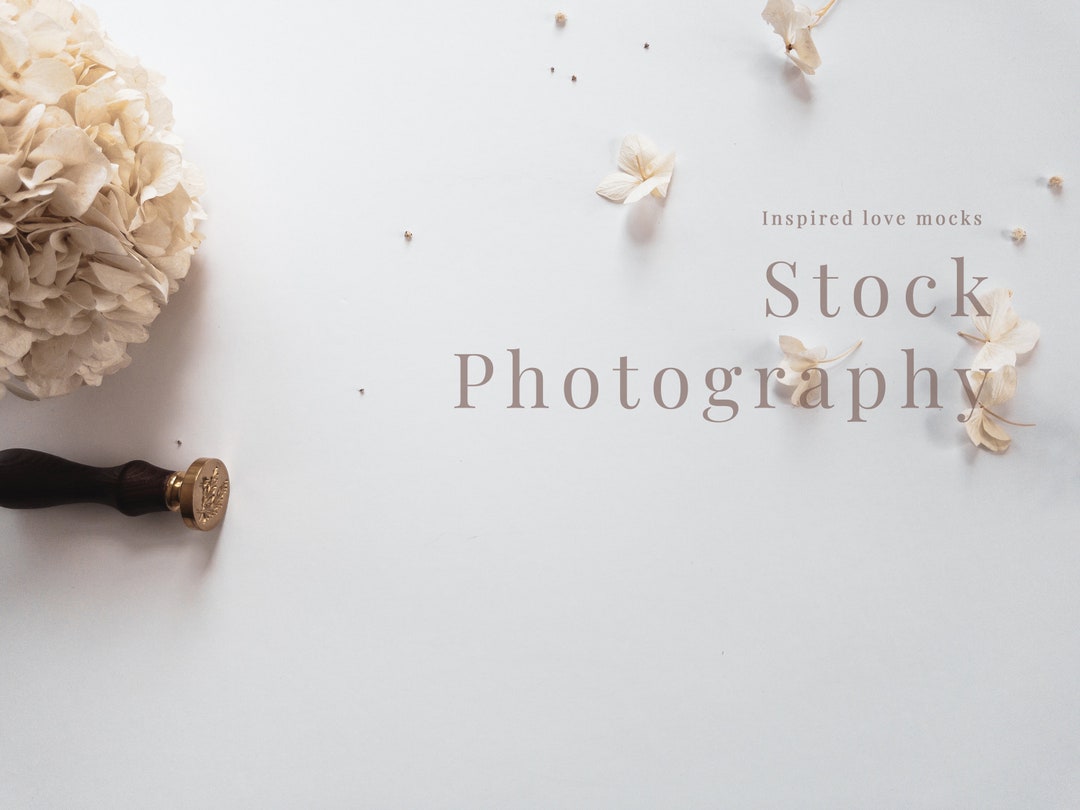 Mock up Backdrop, Flat Lay Backdrop, Wedding Mockup Background ...