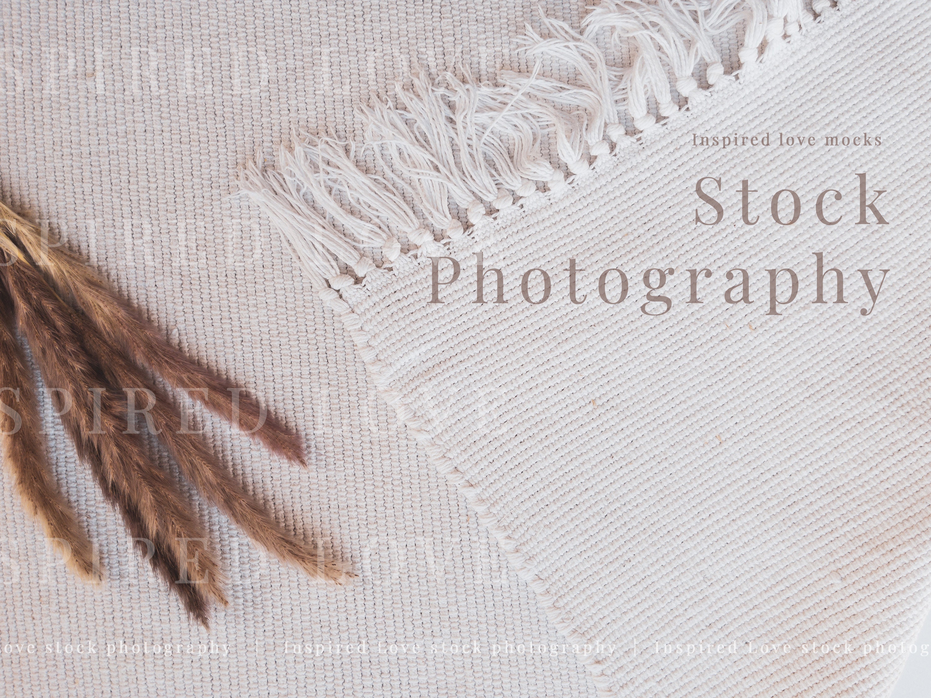 Boho Grass Stock Background, Stock Photo Background, Boho Background ...