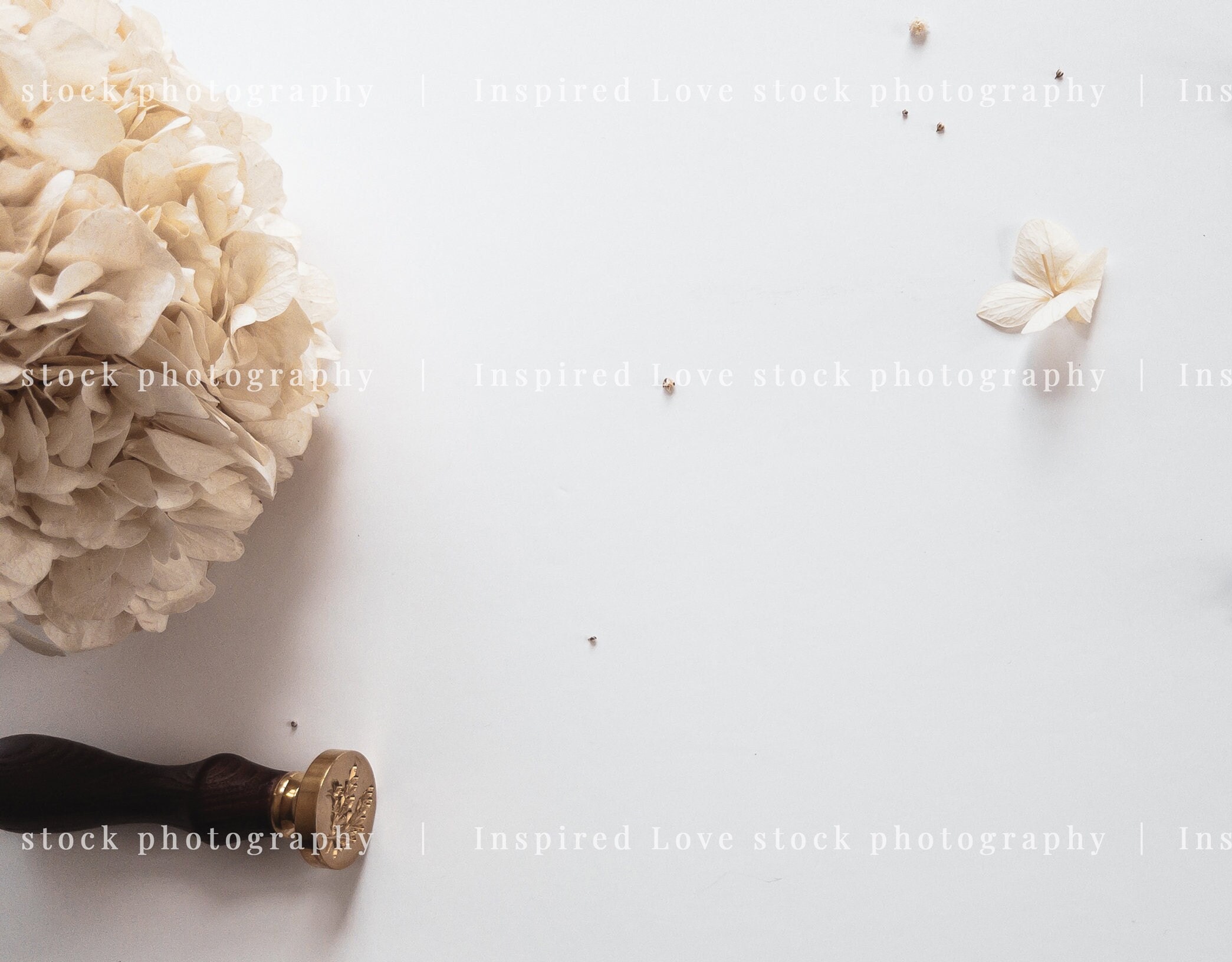 Mock up Backdrop, Flat Lay Backdrop, Wedding Mockup Background ...