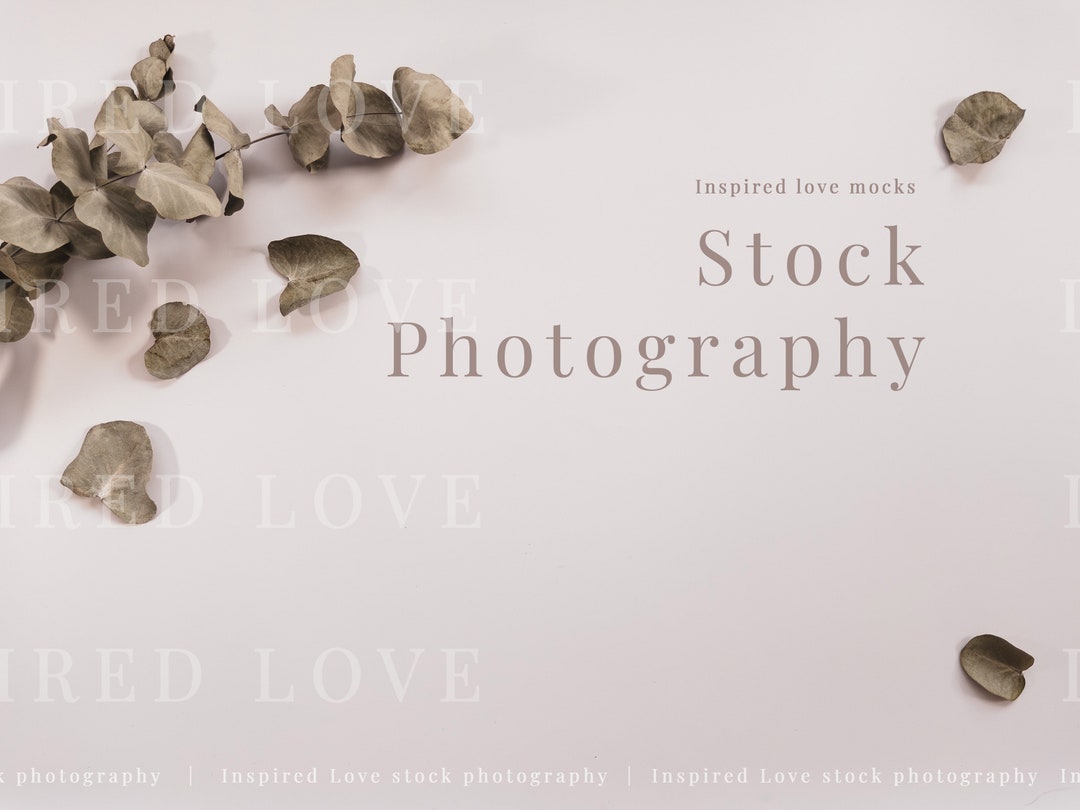 Flat Lay Background, Product Background, Digital Background, Mockup ...