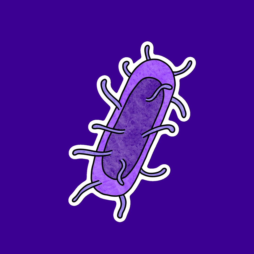 Bacteria Sticker - Etsy