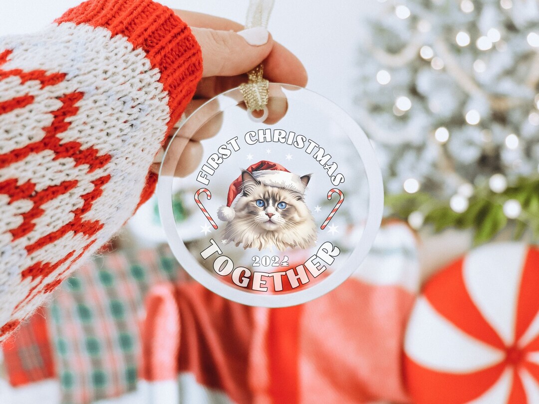 Ragdoll Cat Ornament for First Christmas Together, Glass Ornament for ...