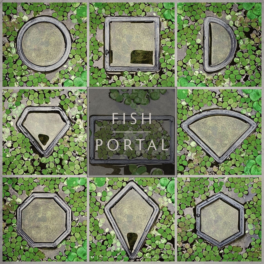 Fish Tank Portals Feeding Rings, Aquarium Decor Betta/shrimp Safe ...