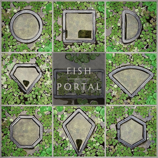 Fish Tank Plants - Etsy