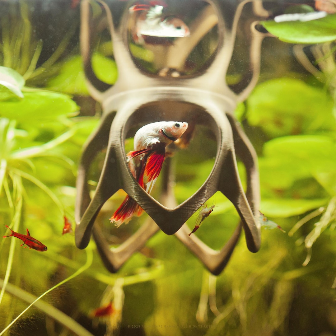 Mini Floating Betta Play-ground With Worm Feeder – Aquarium Betta Cave ...