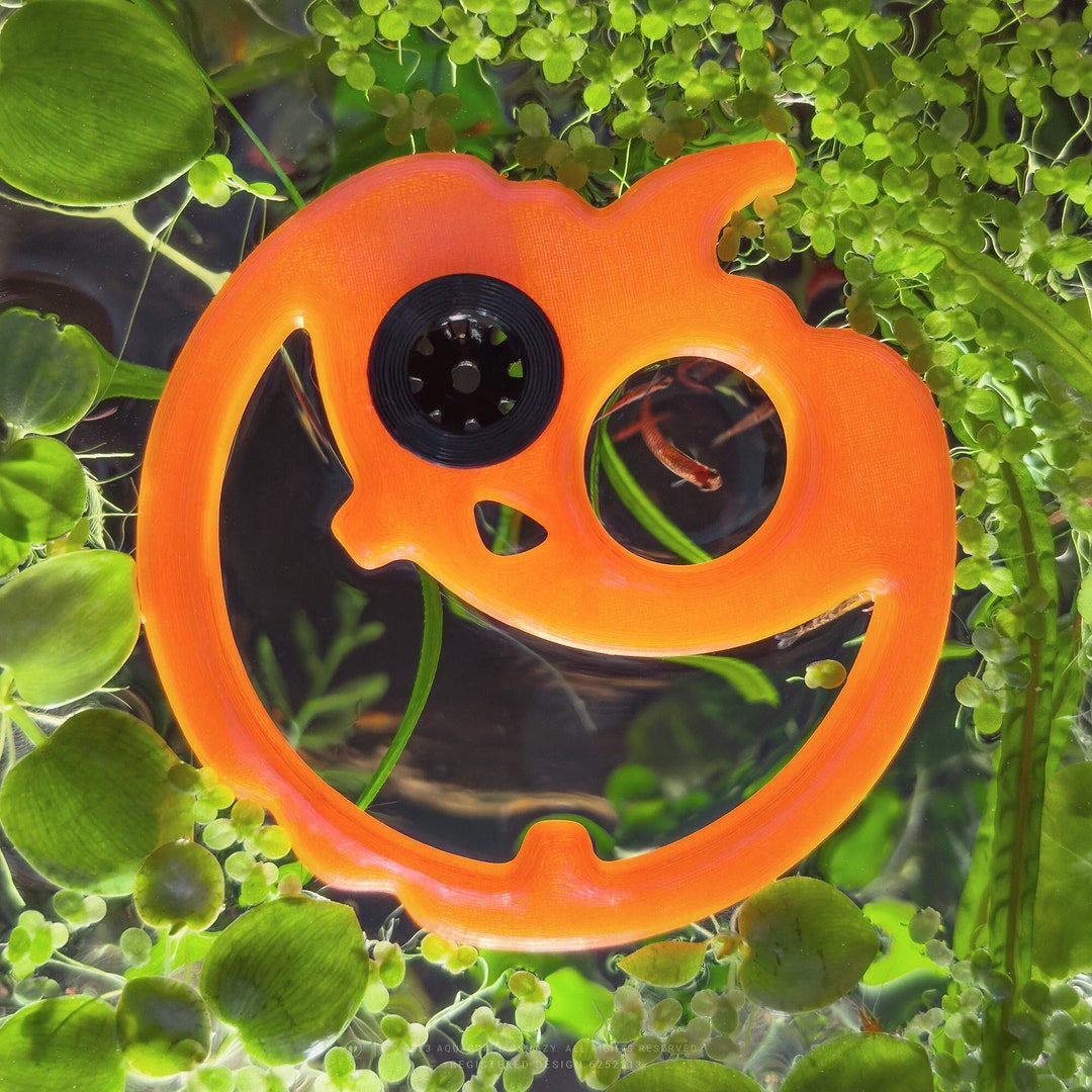 Jack-o’-lantern Floating Fish Tank Portal Feeder Station - Halloween ...
