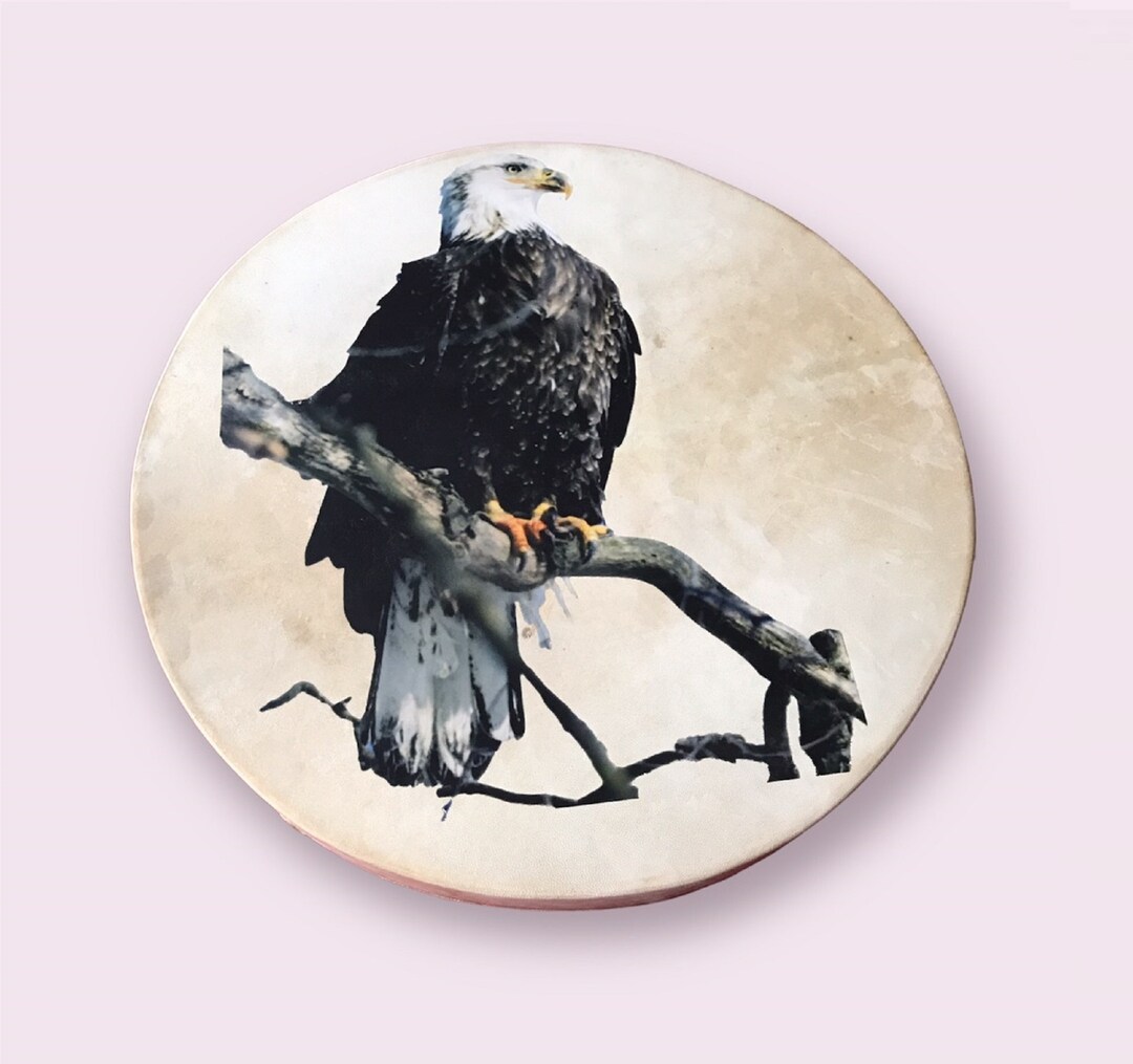 Large Native Shaman Drum Denali North America Bald Eagle Spirit - Etsy