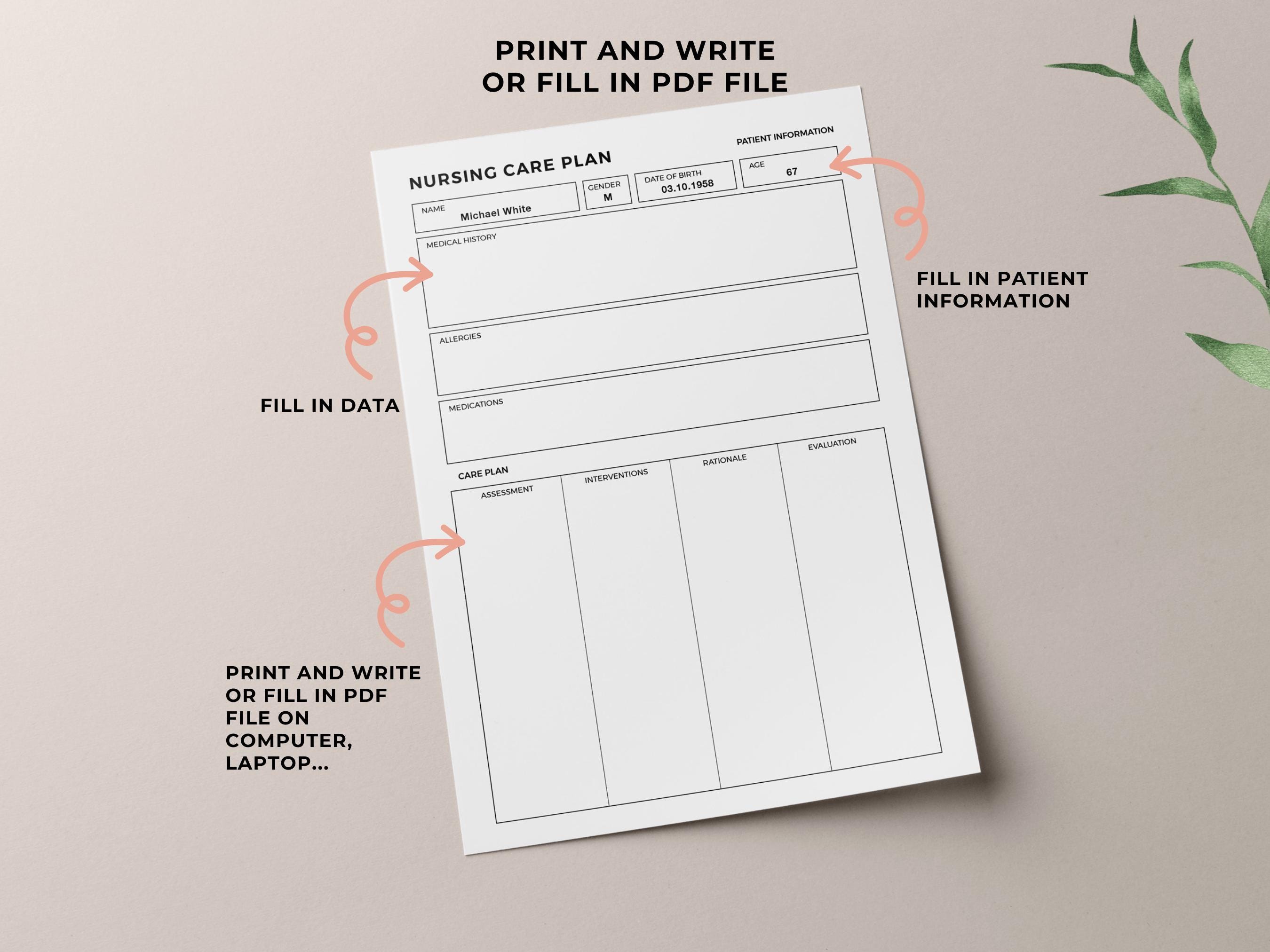 Nursing Care Plan Template, Nursing Printable Editable Report Sheet ...