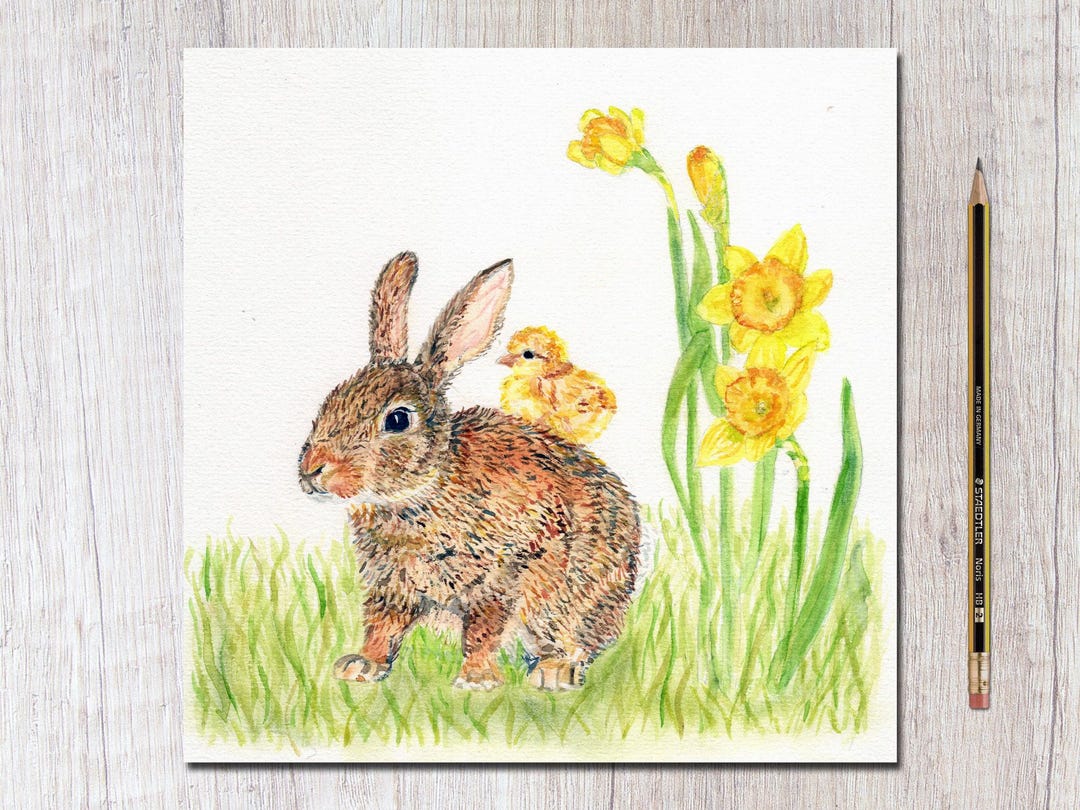 Bunny - Original Watercolour - Sweet - Rabbit - Chick - Daffodil ...