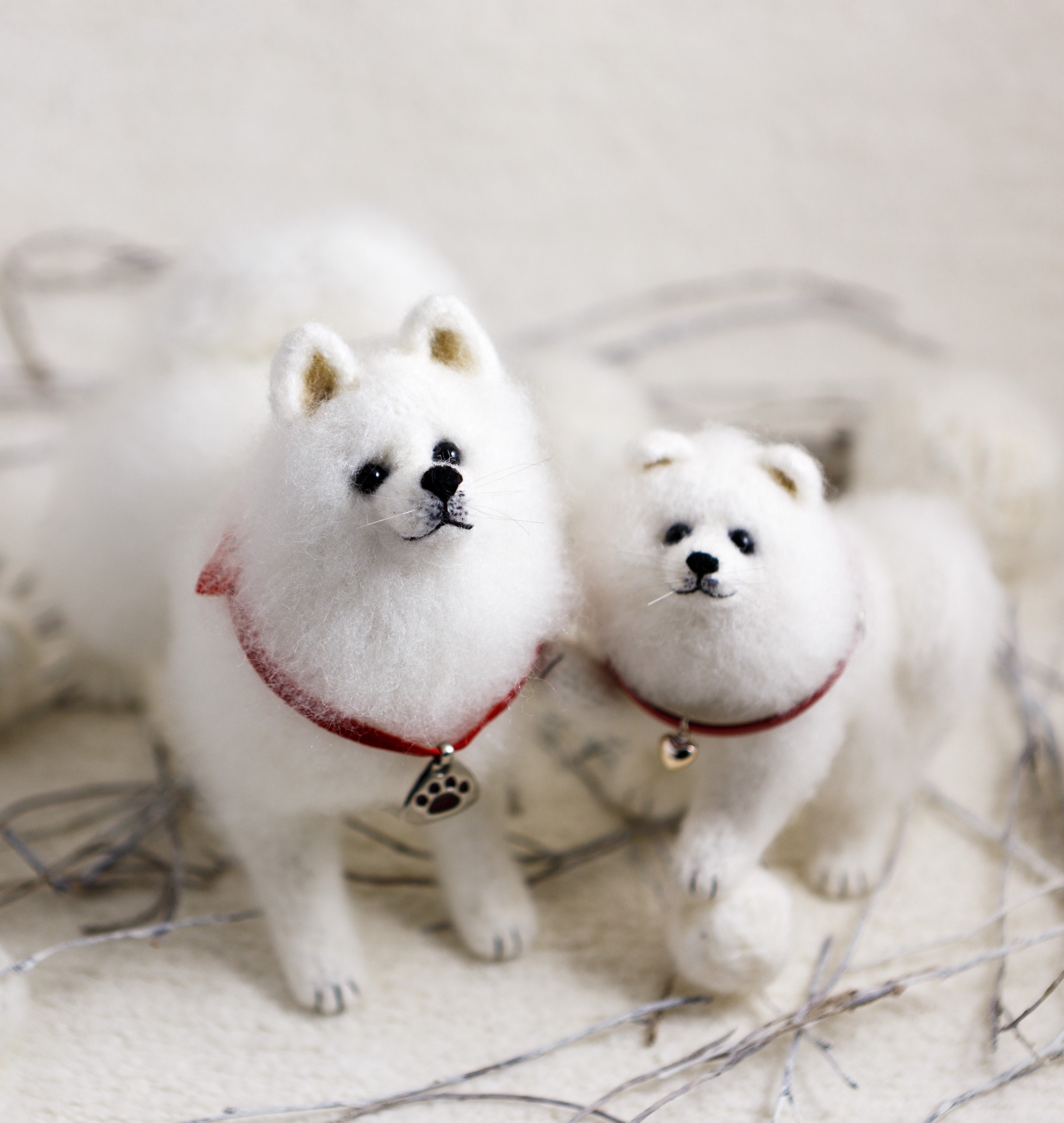 A Couple of Samoyeds Boyfriend Gift Gift for Her White Cute Samoyeds ...