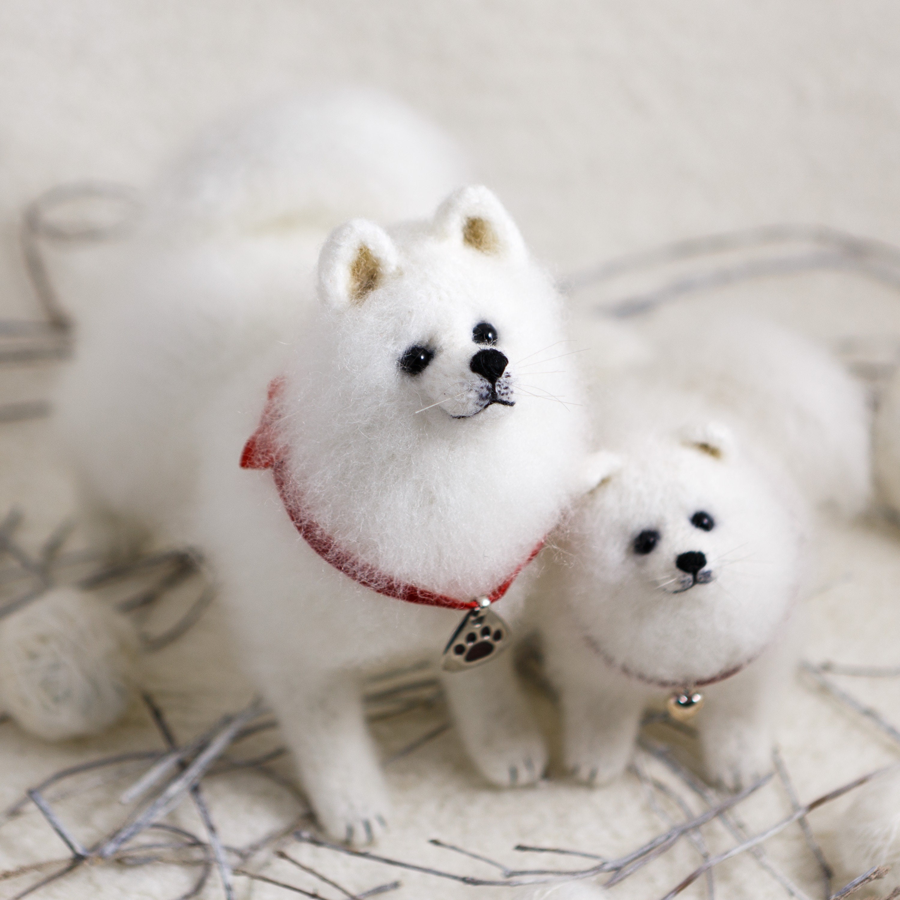 A Couple of Samoyeds Boyfriend Gift Gift for Her White Cute Samoyeds ...